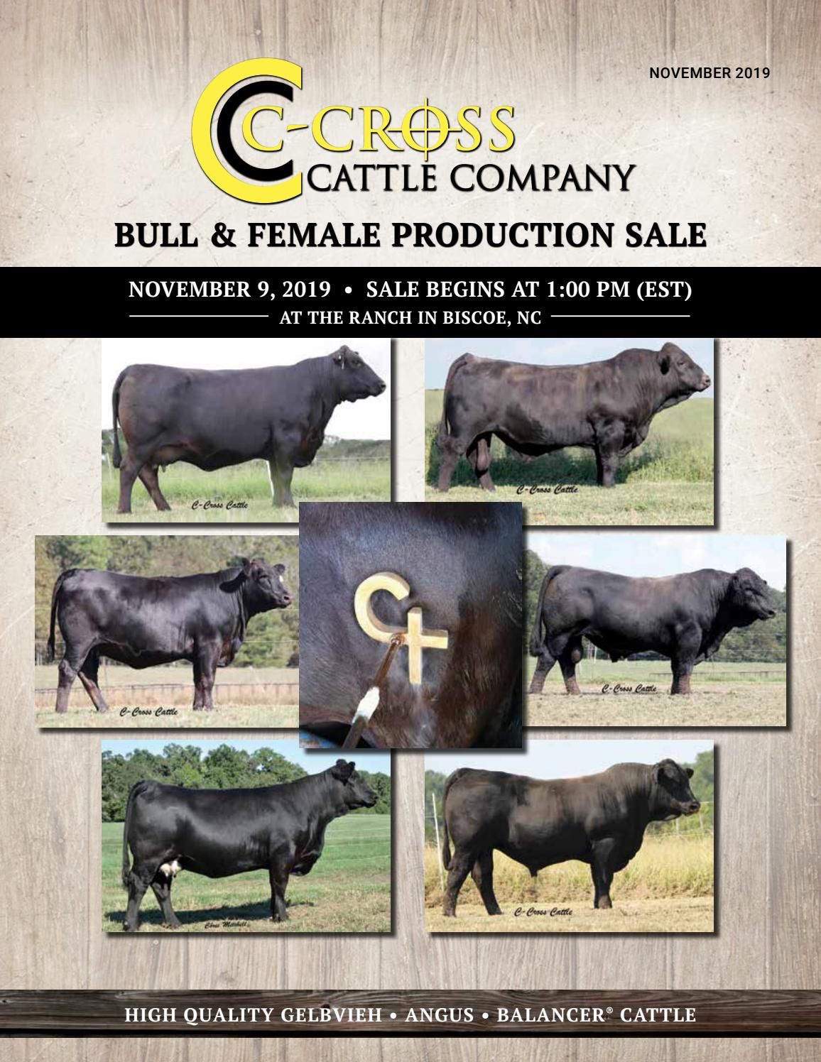 C-Cross Cattle Company Bull & Female Production Sale by American ...