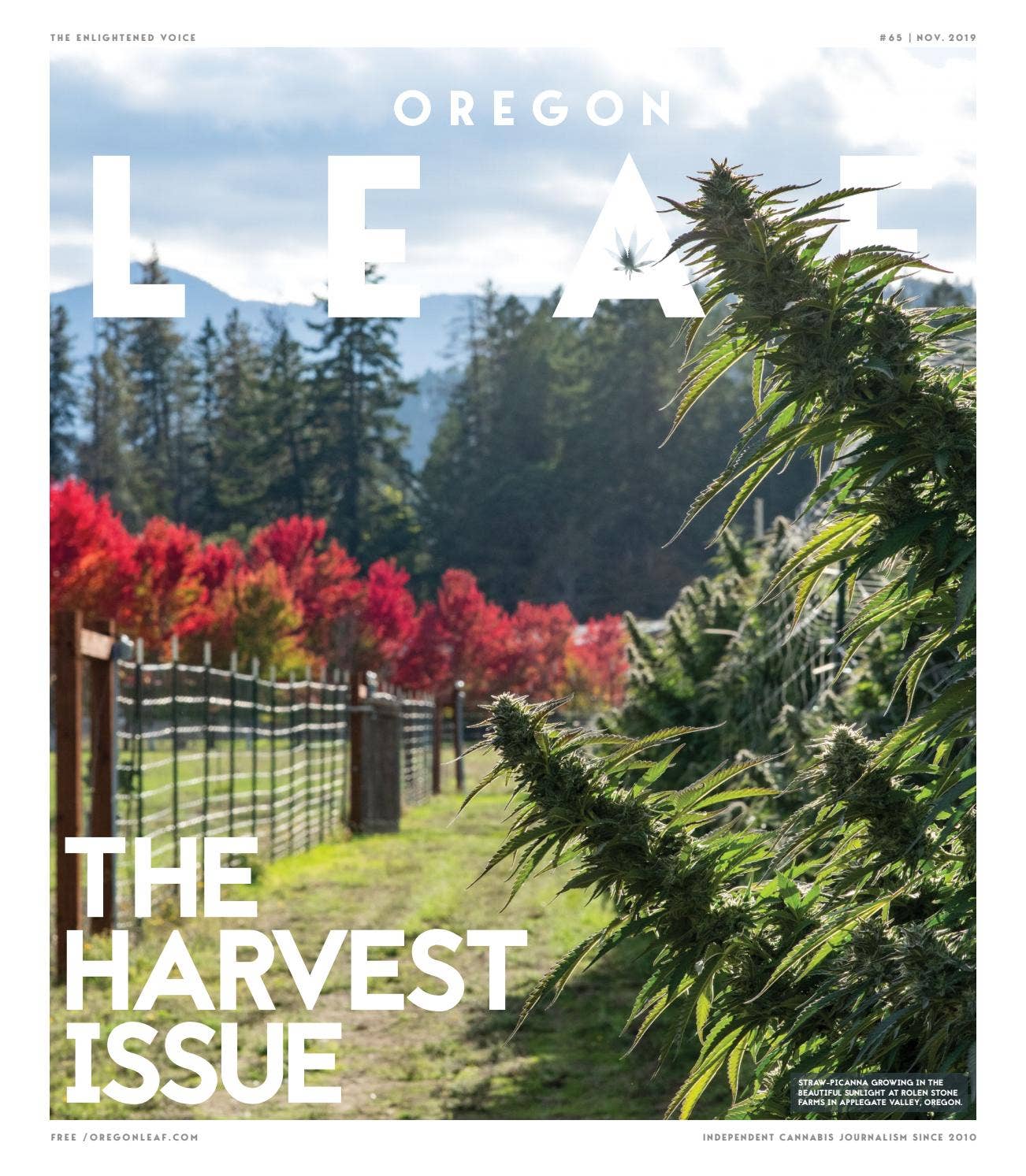 Nov. 2019 — Oregon Leaf by Northwest Leaf / Oregon Leaf / Alaska Leaf ...