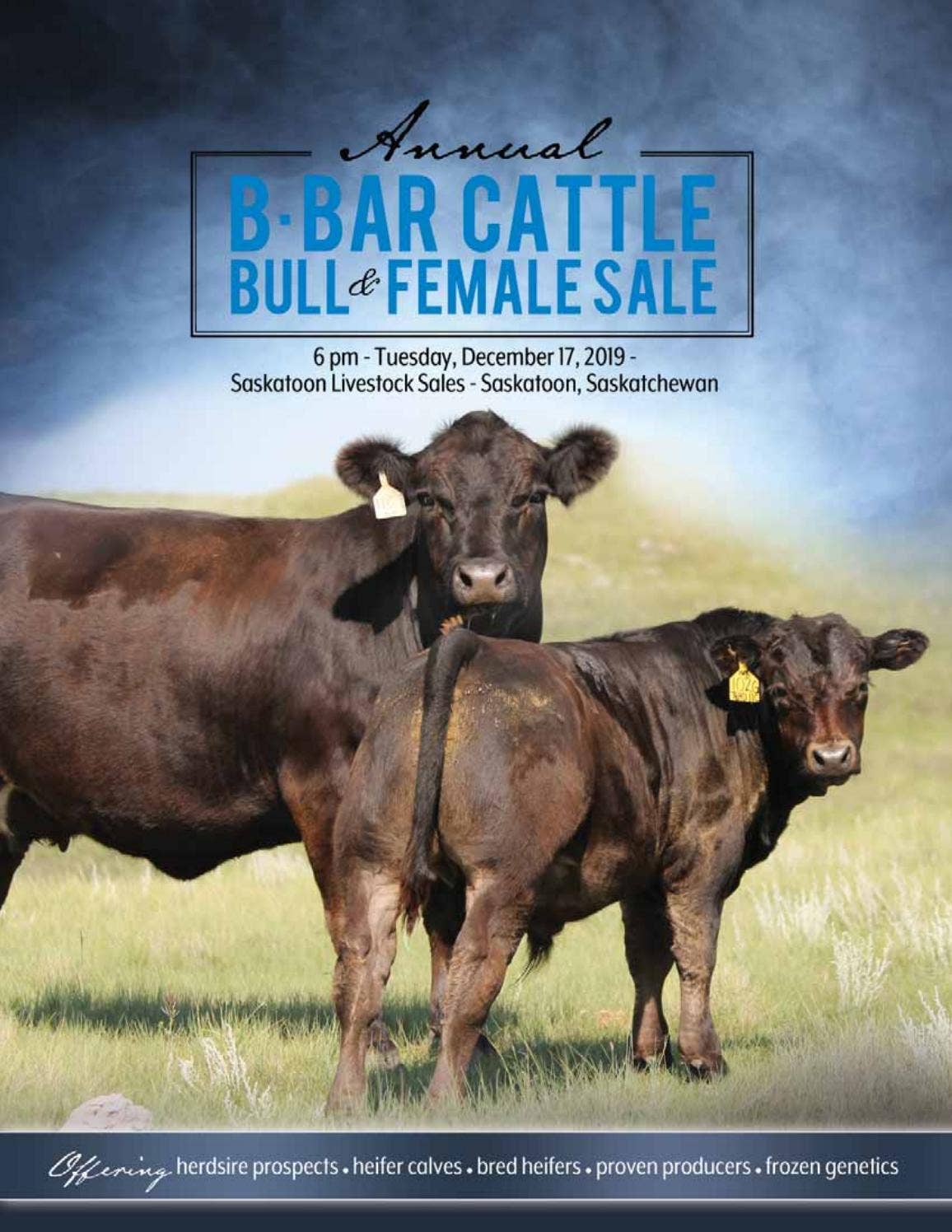 B Bar Cattle Co Bull & Female Sale 2019 by Bohrson Marketing Services ...
