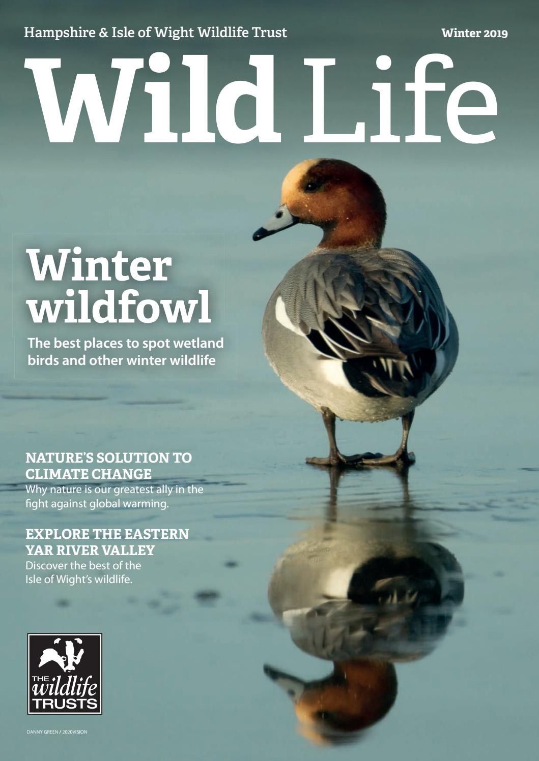 Winter Wild Life Magazine 2019 by Hampshire & Isle of Wight Wildlife ...