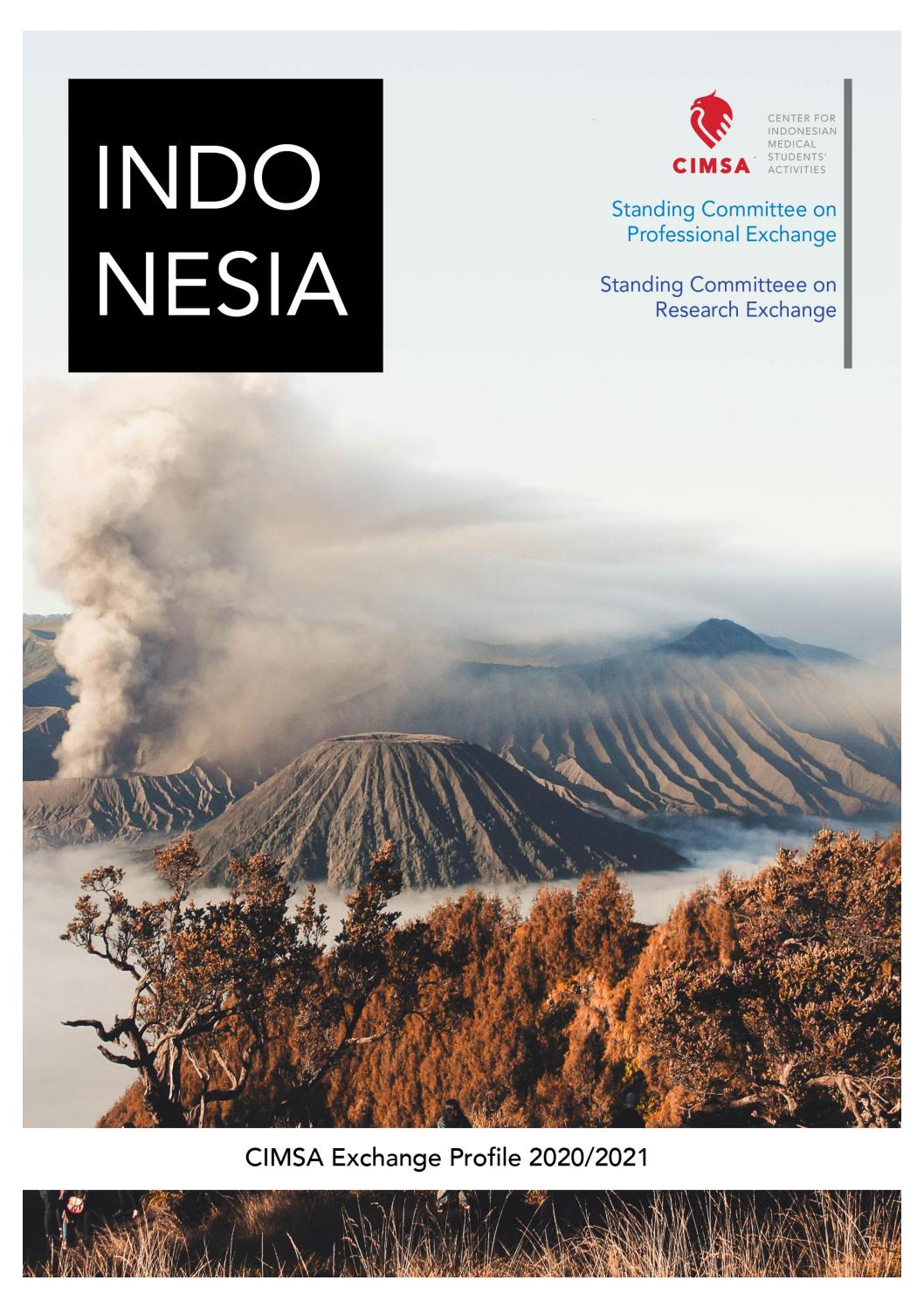 CIMSA INDONESIA EXCHANGE PROFILE 2020/2021 by SCOPE CIMSA - Issuu