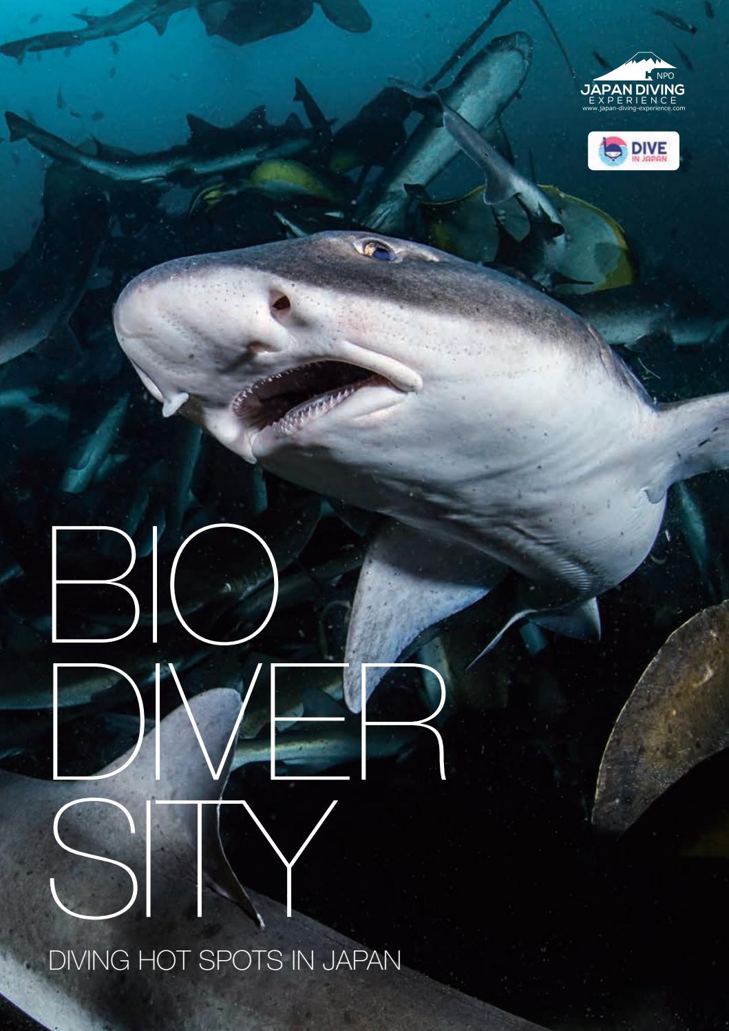 Japan Diving Experience by japandivingexperience - Issuu