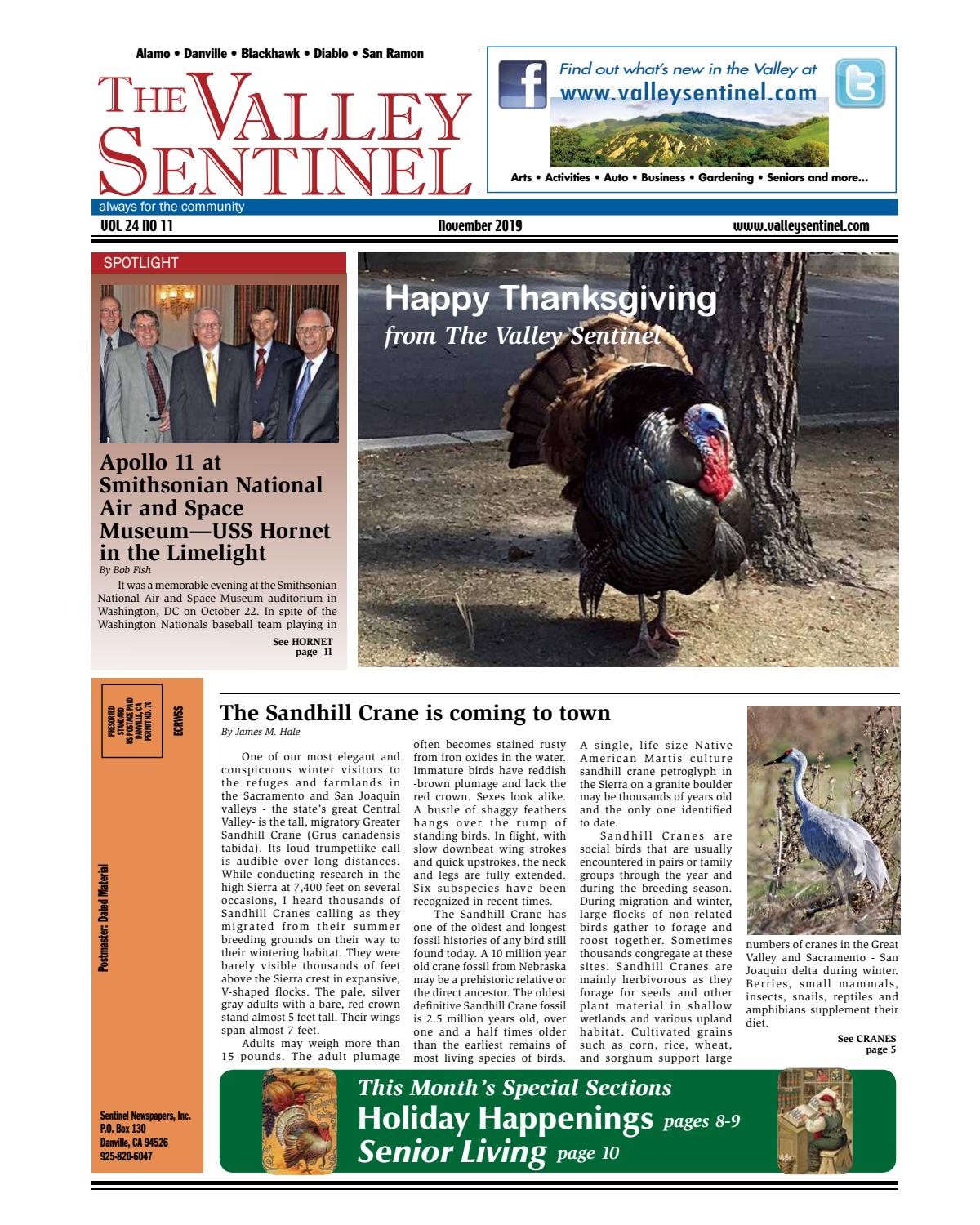 The Valley Sentinel_November 2019 by Sentinel Newspapers - Issuu
