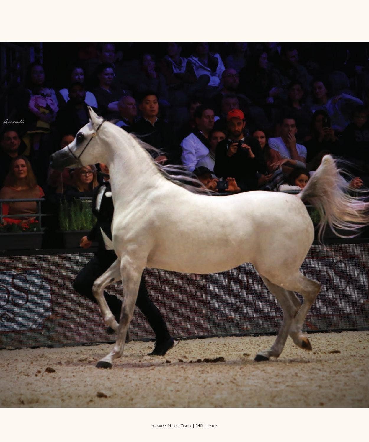 AHT Paris 2019 by Arabian Horse Times - Issuu