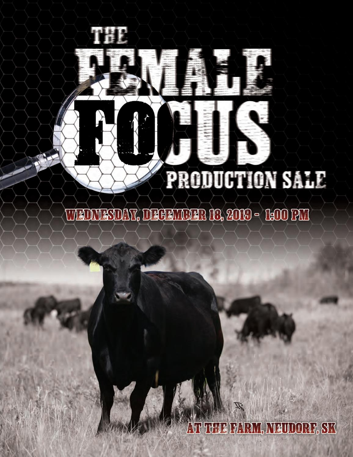 Female Focus Production Sale by Bohrson Marketing Services Ltd. - Issuu