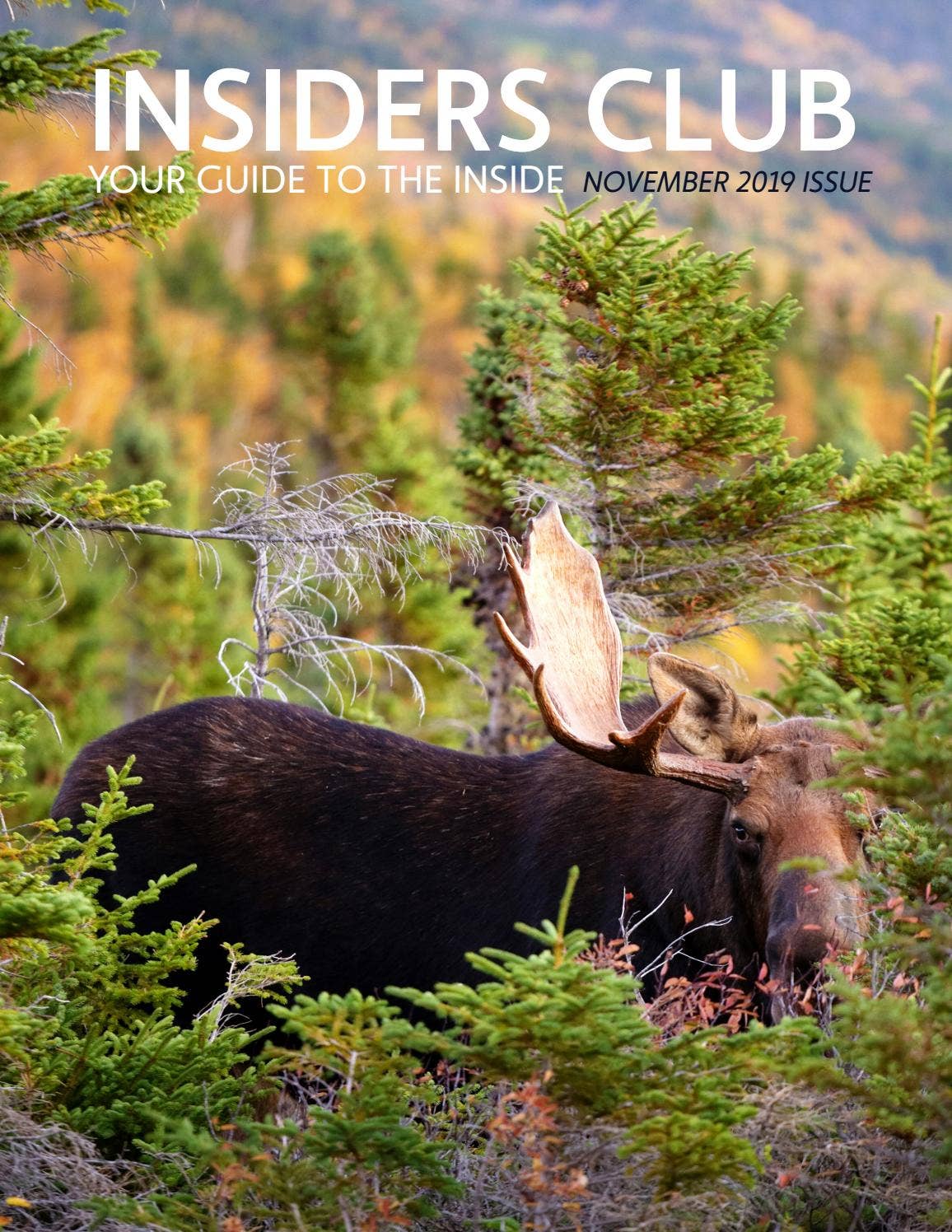 The Insider's Club: November 2019 Issue by Largay Travel - Issuu