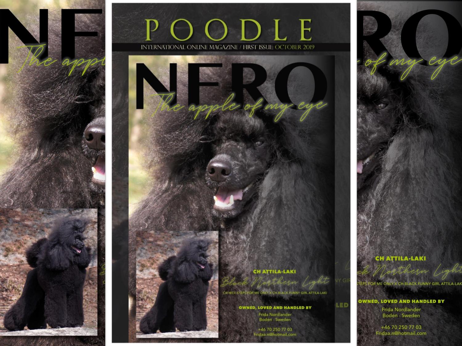 Poodles International Online Magazine by Theo Koekemoer - Issuu