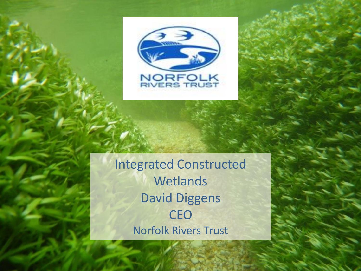 Norfolk Rivers Trust by Suffolk Naturalists' Society - Issuu