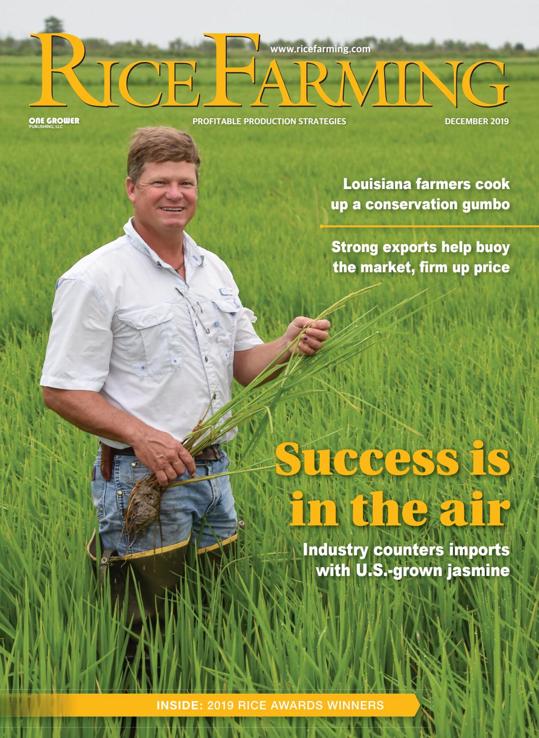 Rice Farming December 2019 by One Grower Publishing - Issuu