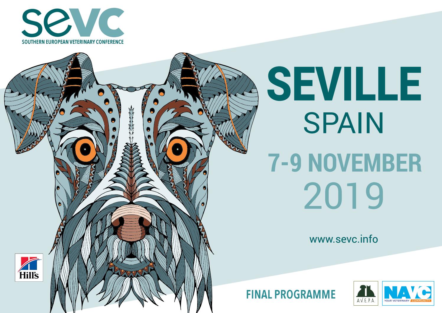 SEVC 2019 Seville by SEVC - Issuu