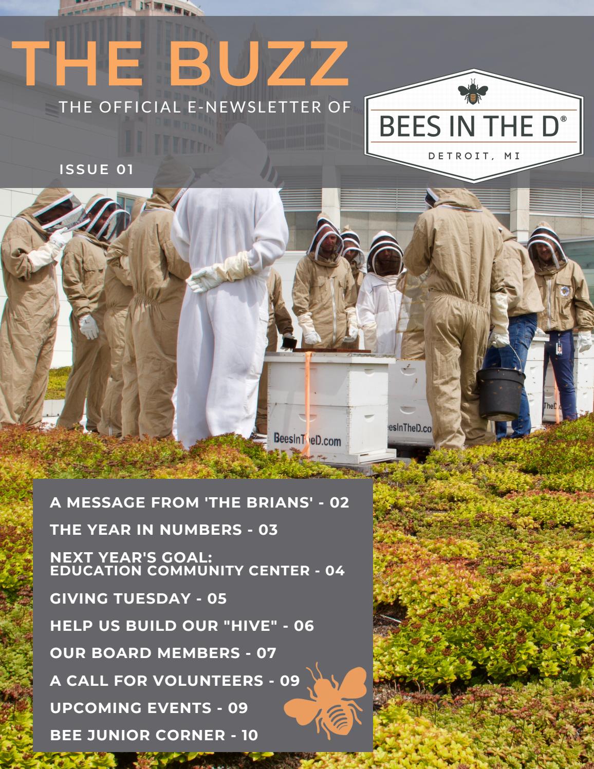 The Buzz Issue 1 by Bees in the D - Issuu