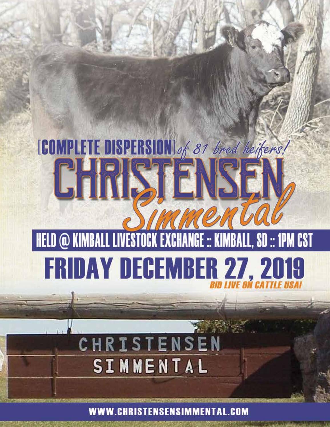 2019 Christensen Simmental Bred Heifer Sale by Cam Fagerhaug - Issuu