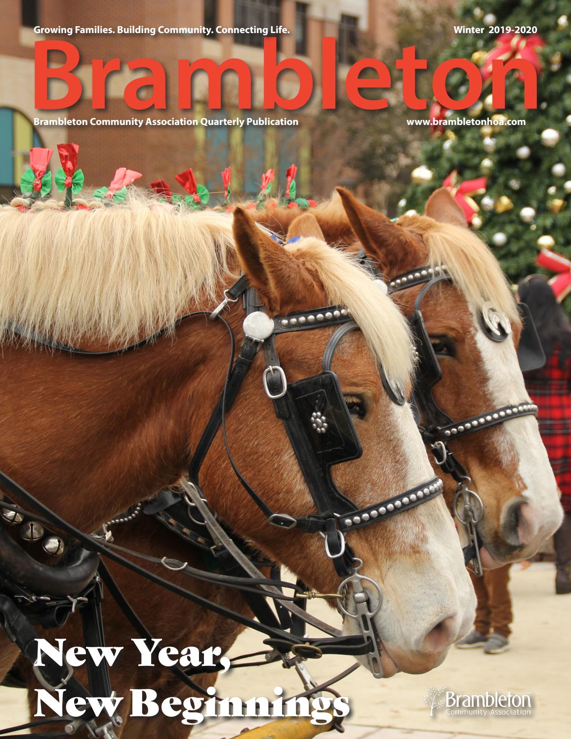 Brambleton Magazine: Winter 2019-2020 by Brambleton Community ...
