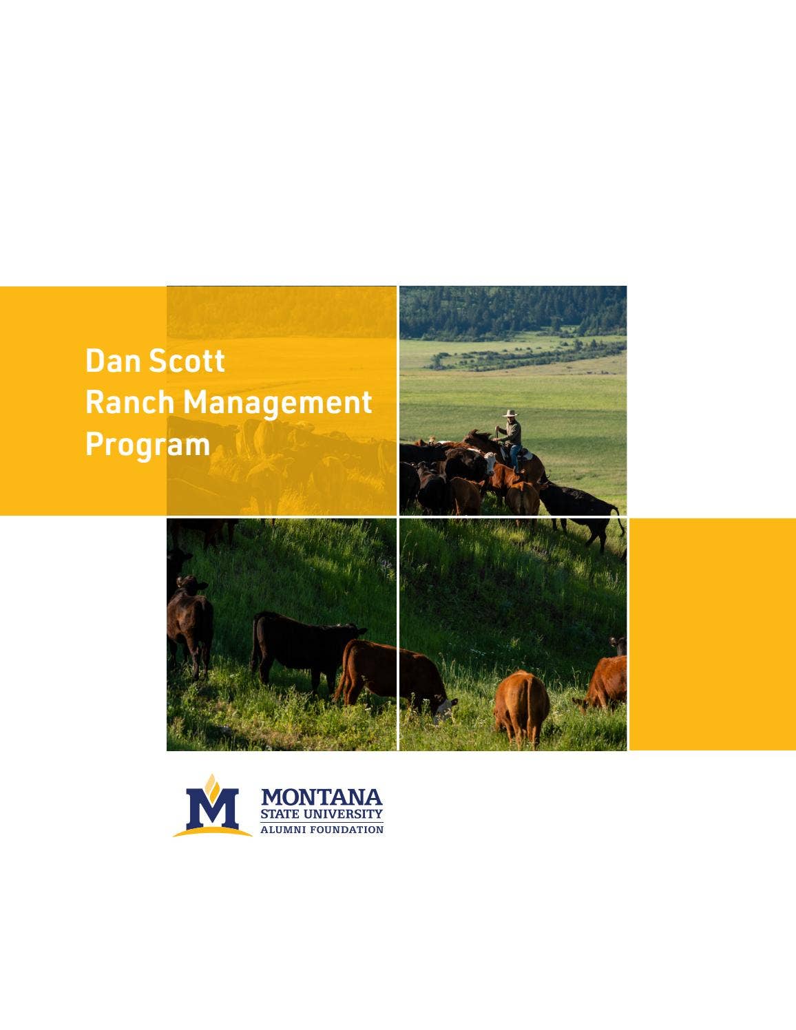 Fay Ranches Announces Partnership with the Dan Scott Ranch Management ...
