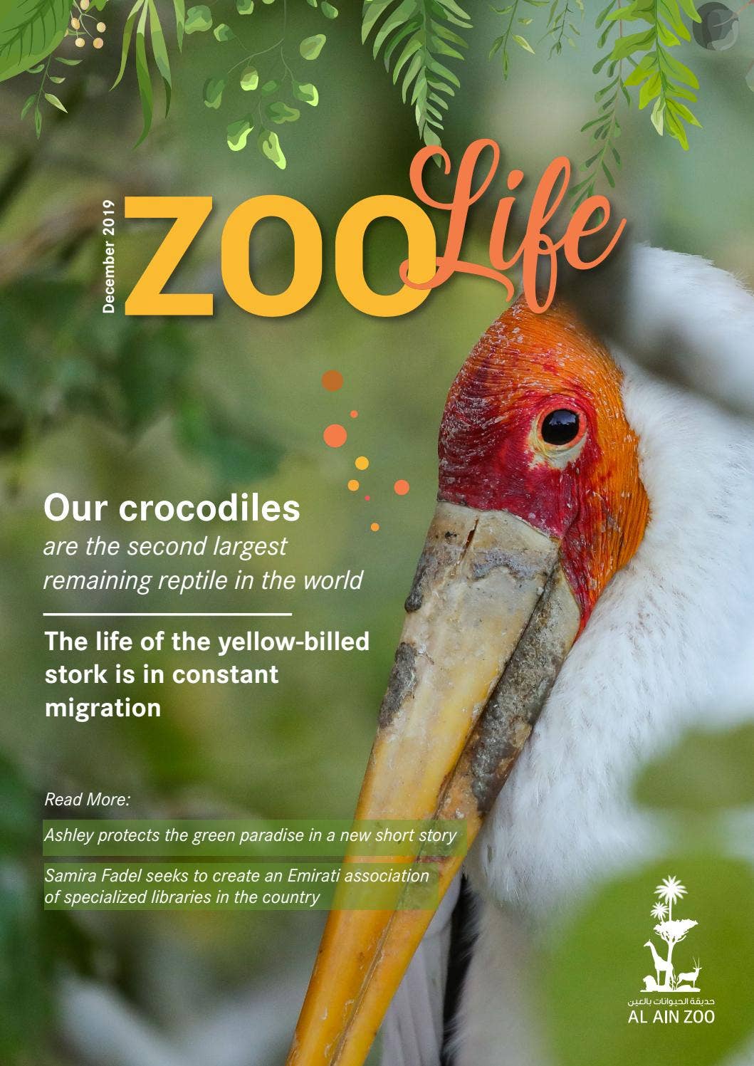 Zoo Life Magazine December مجلة زوولايف ديسمبر 2019 by Al Ain Zoo - Issuu