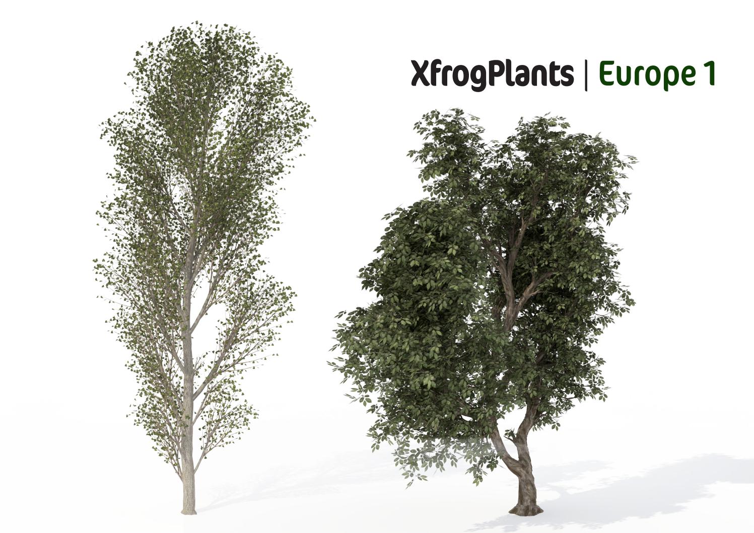 Europe1 xfrogplants es by XFROG - Issuu