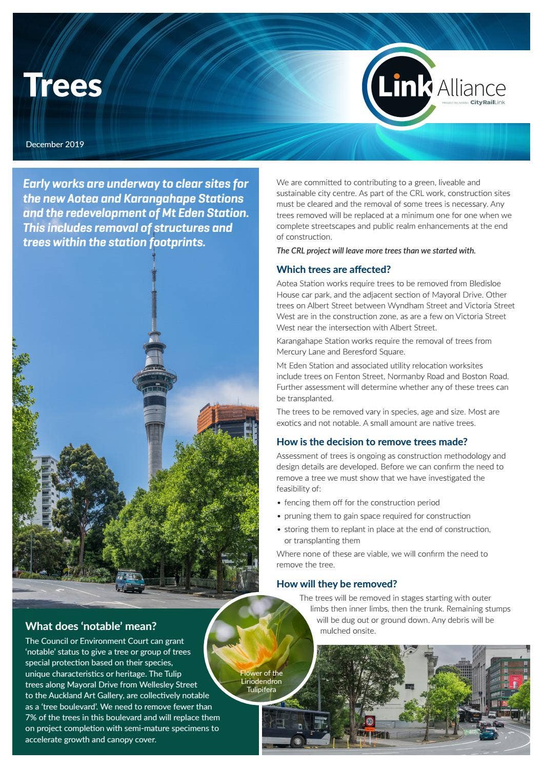 Tree fact sheet by City Rail Link Ltd - Issuu