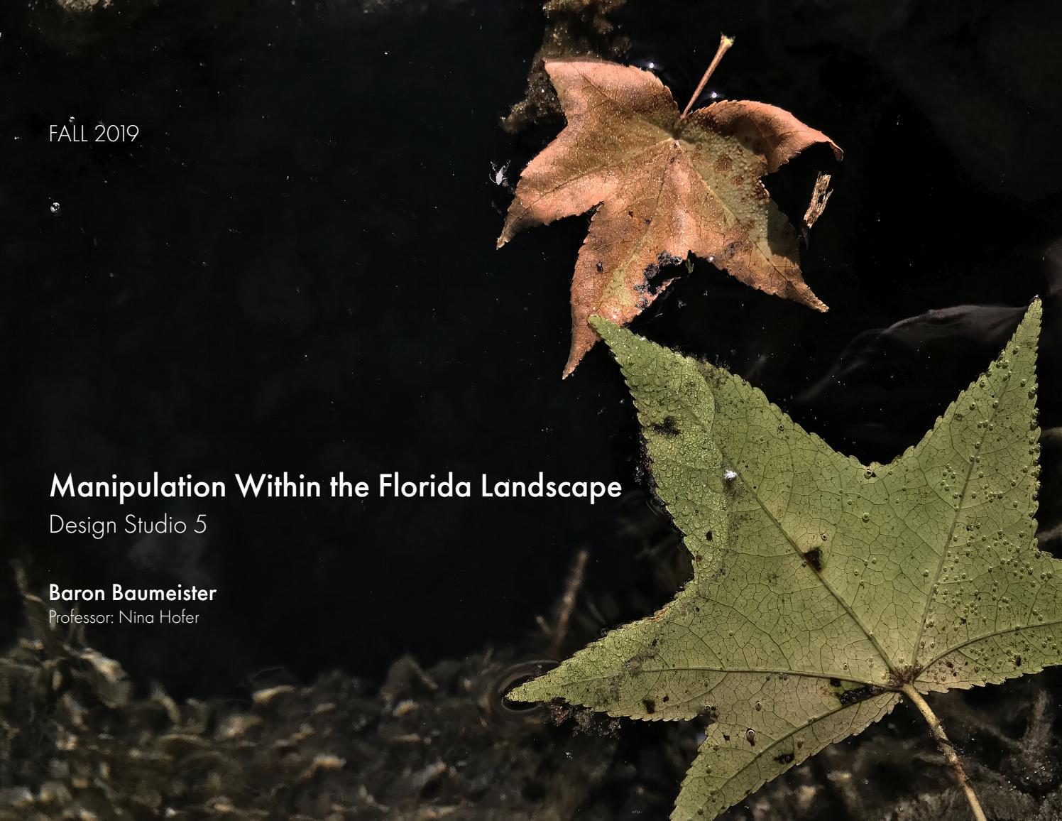 Design Studio 5 (Baron Baumeister) by Baron Baumeister - Issuu