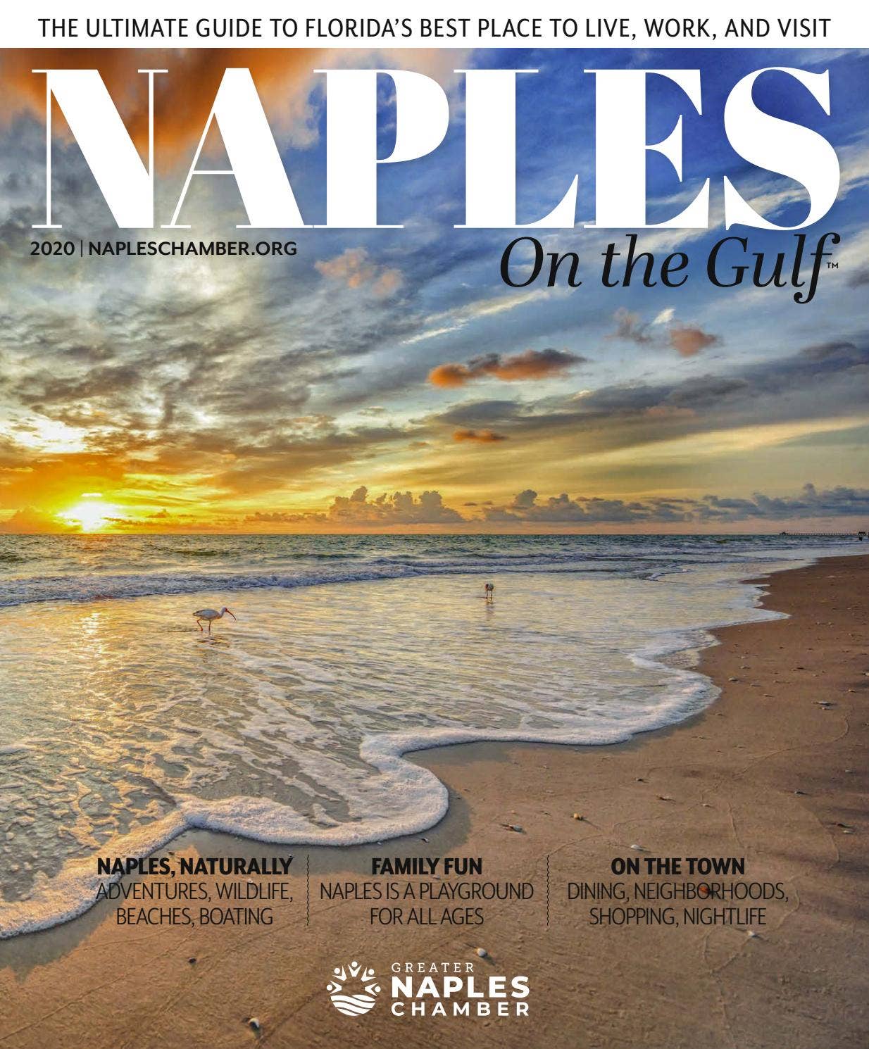 Naples On the Gulf 2020 by Palm Beach Media Group - Issuu