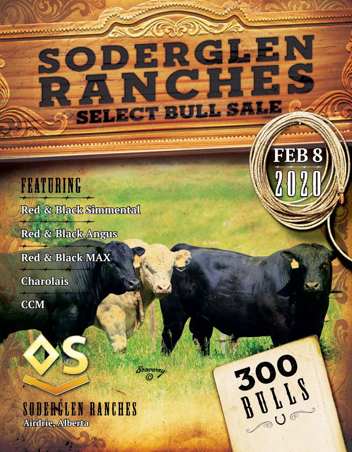 Soderglen Ranches Select Bull Sale 2020 by Soderglen Ranches Ltd. - Issuu