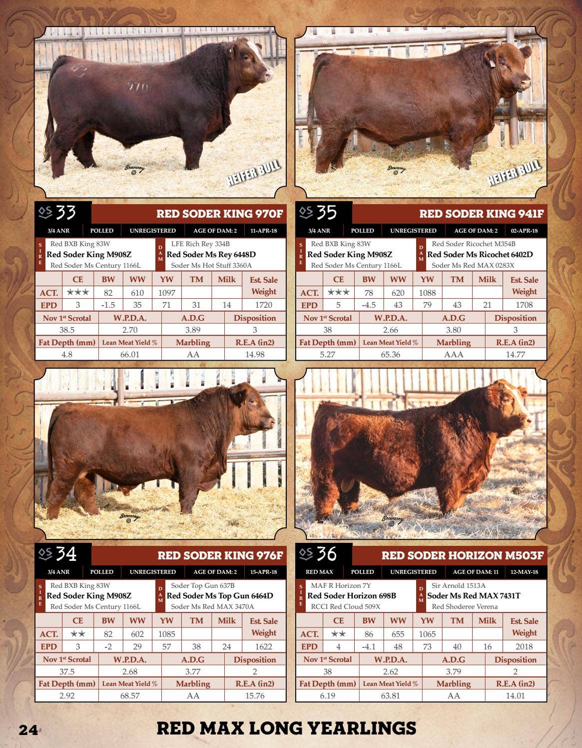 Soderglen Ranches Select Bull Sale 2020 by Soderglen Ranches Ltd. - Issuu
