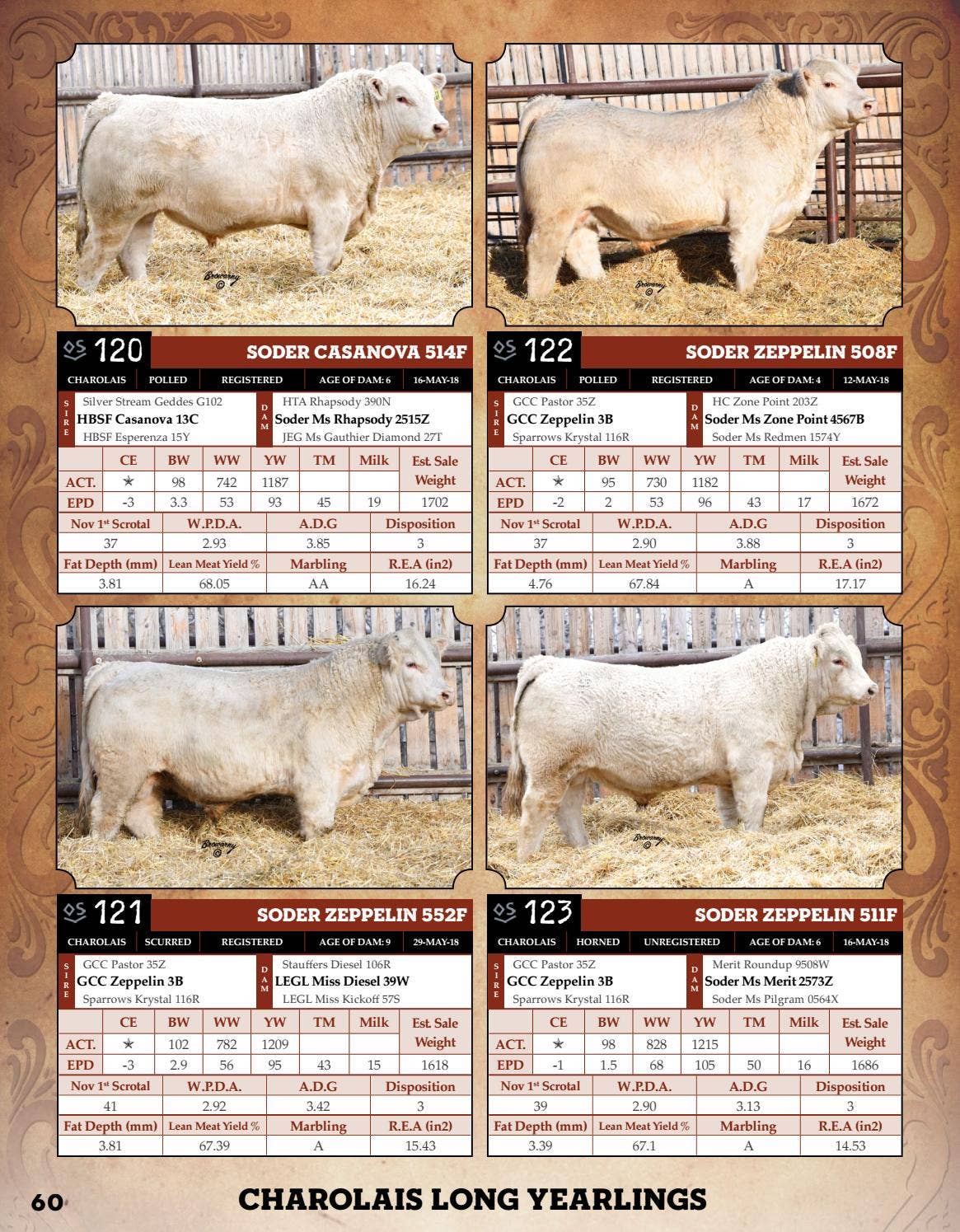 Soderglen Ranches Select Bull Sale 2020 by Soderglen Ranches Ltd. - Issuu