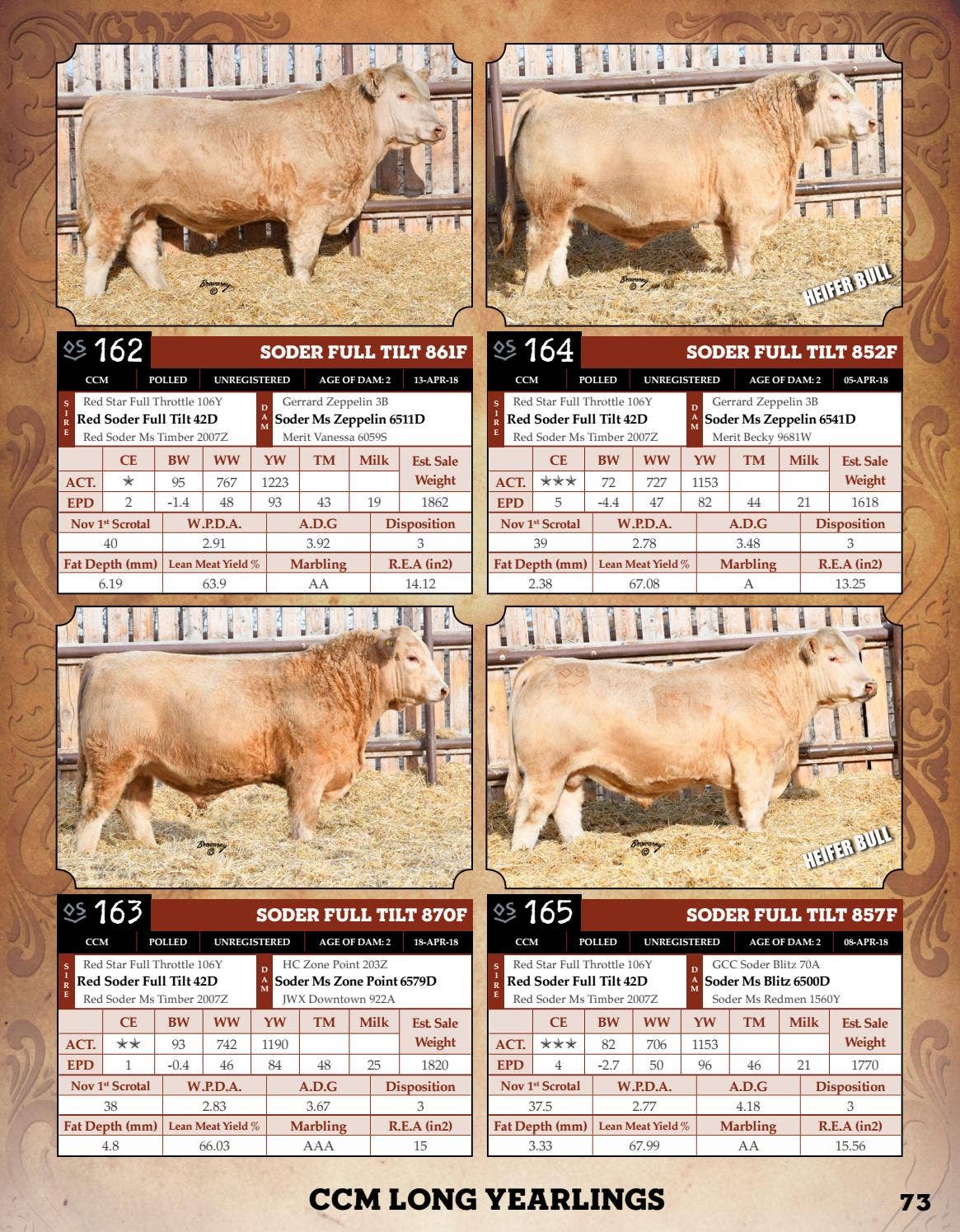 Soderglen Ranches Select Bull Sale 2020 by Soderglen Ranches Ltd. - Issuu