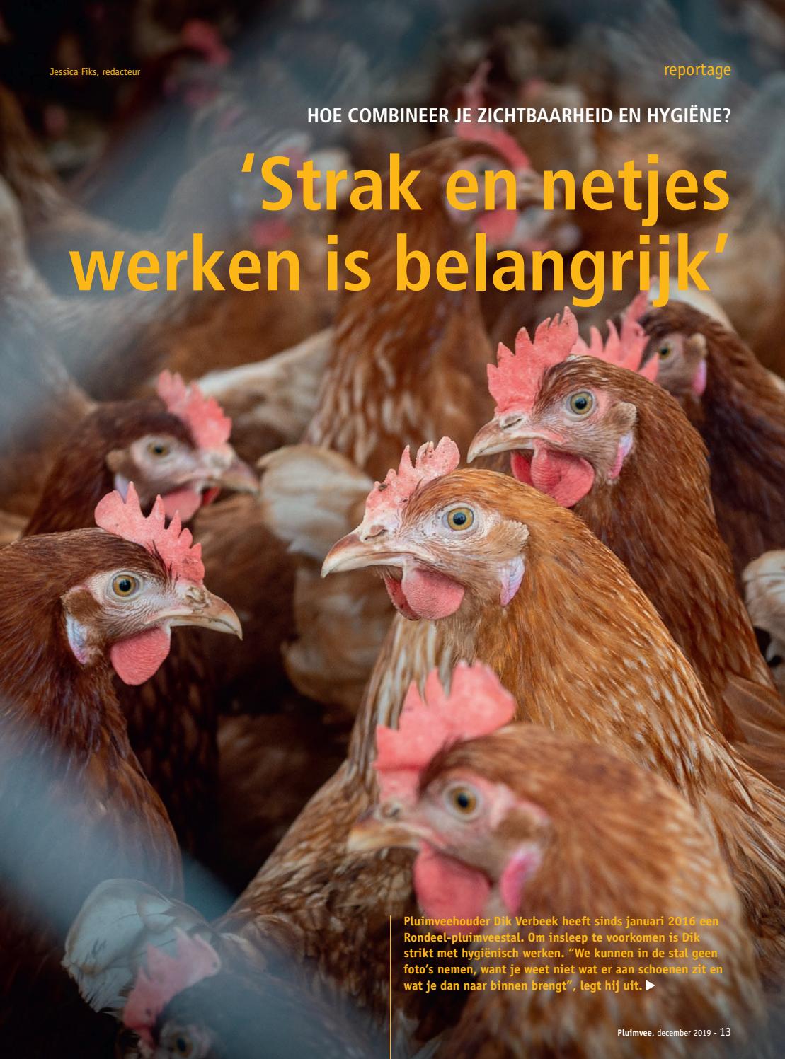 Pluimvee by Royal GD - Issuu