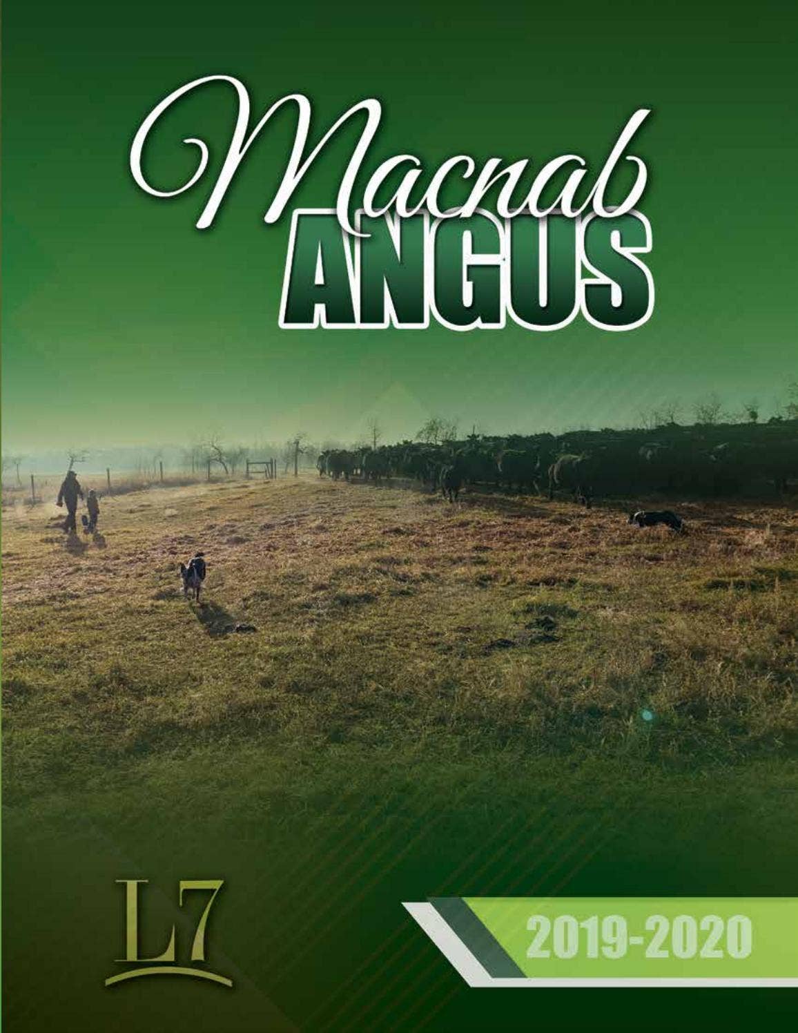 Macnab Angus Private Treaty Sale by Today's Publishing Inc. - Issuu