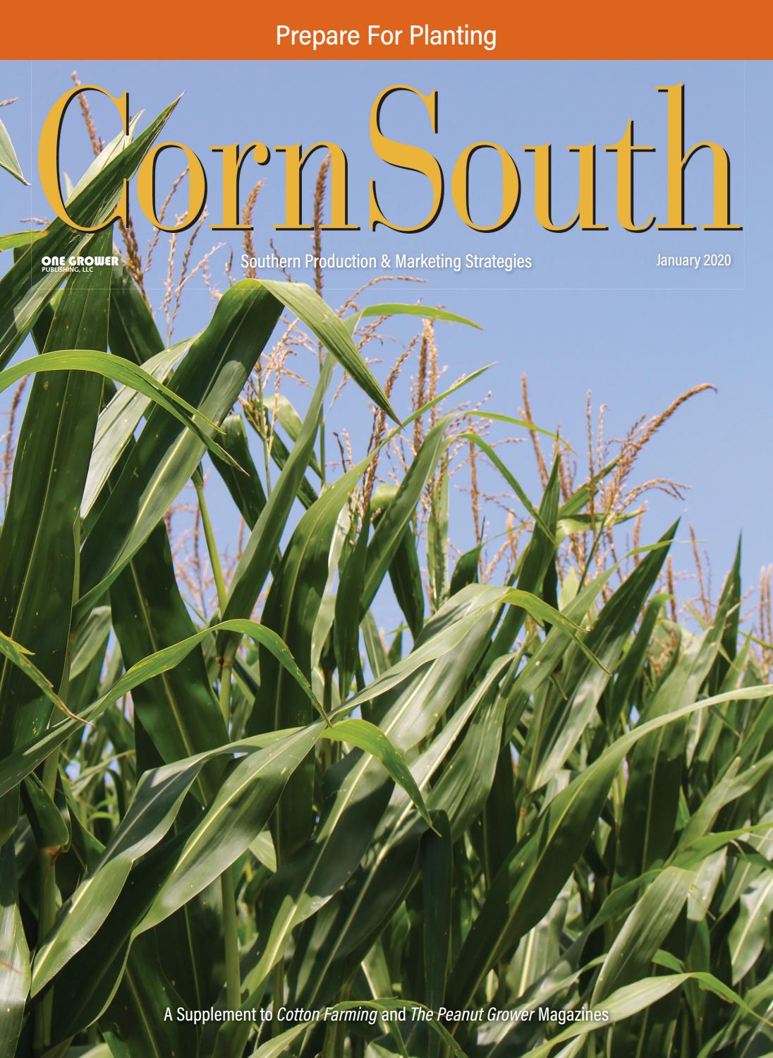 Corn South January 2020 by One Grower Publishing - Issuu