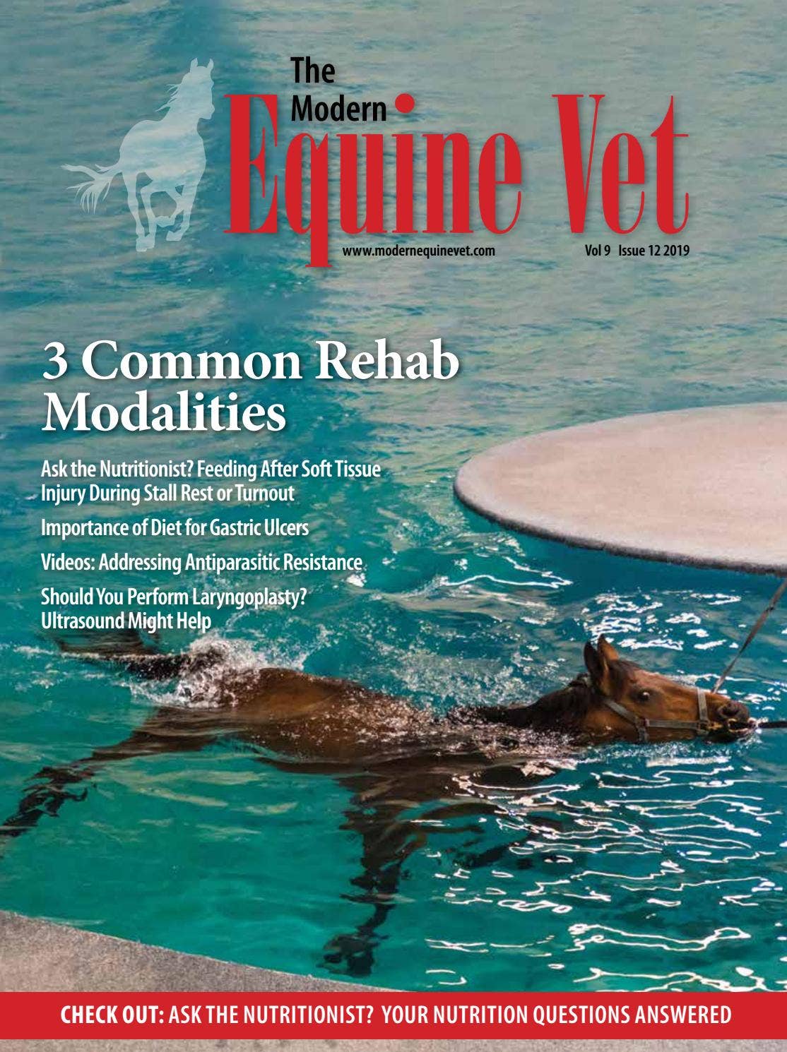 The Modern Equine Vet - December 2019 by The Modern Equine Vet - Issuu