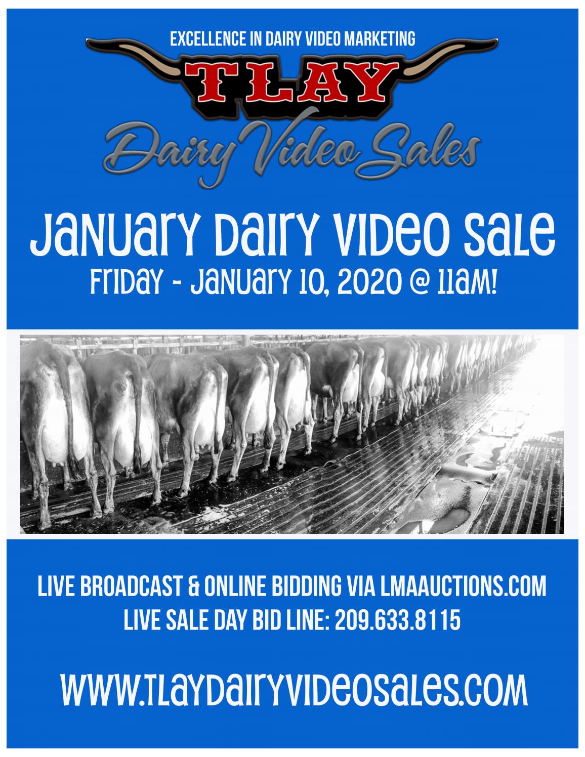 JANUARY 2020 TLAY DAIRY VIDEO SALE by TURLOCK LIVESTOCK AUCTION YARD ...