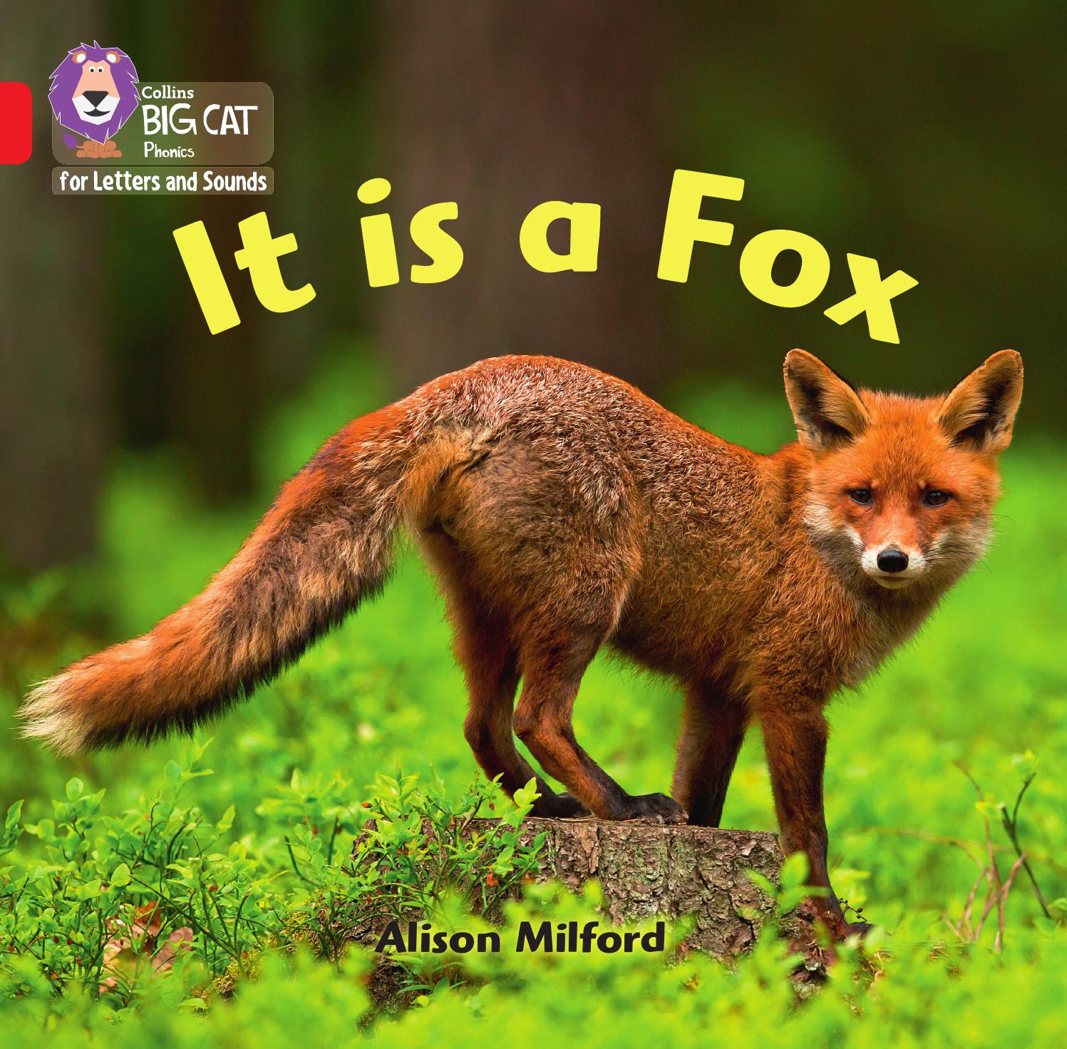 It is a Fox by Collins - Issuu