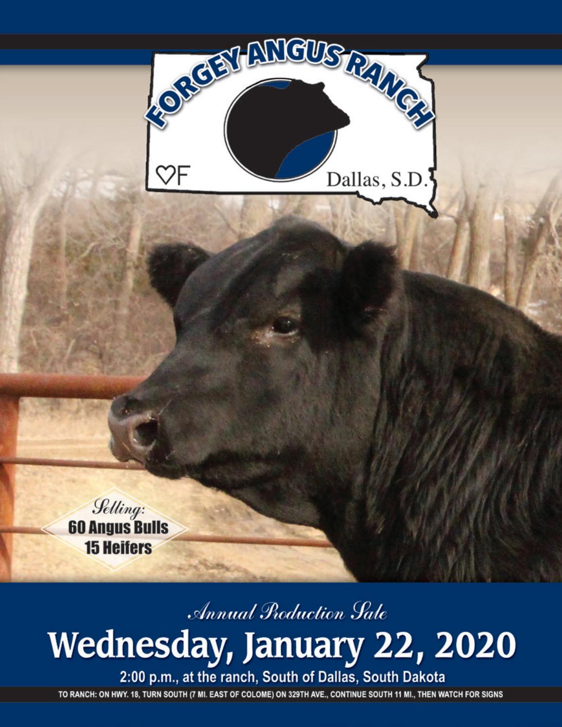 Forgey Angus 2020 Catalog by RPI Promotions - Issuu