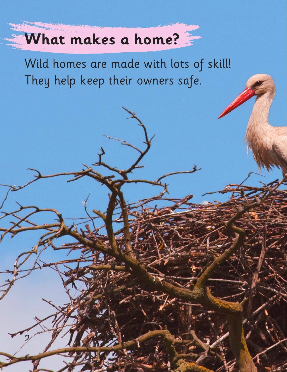 Wild Homes by Collins - Issuu
