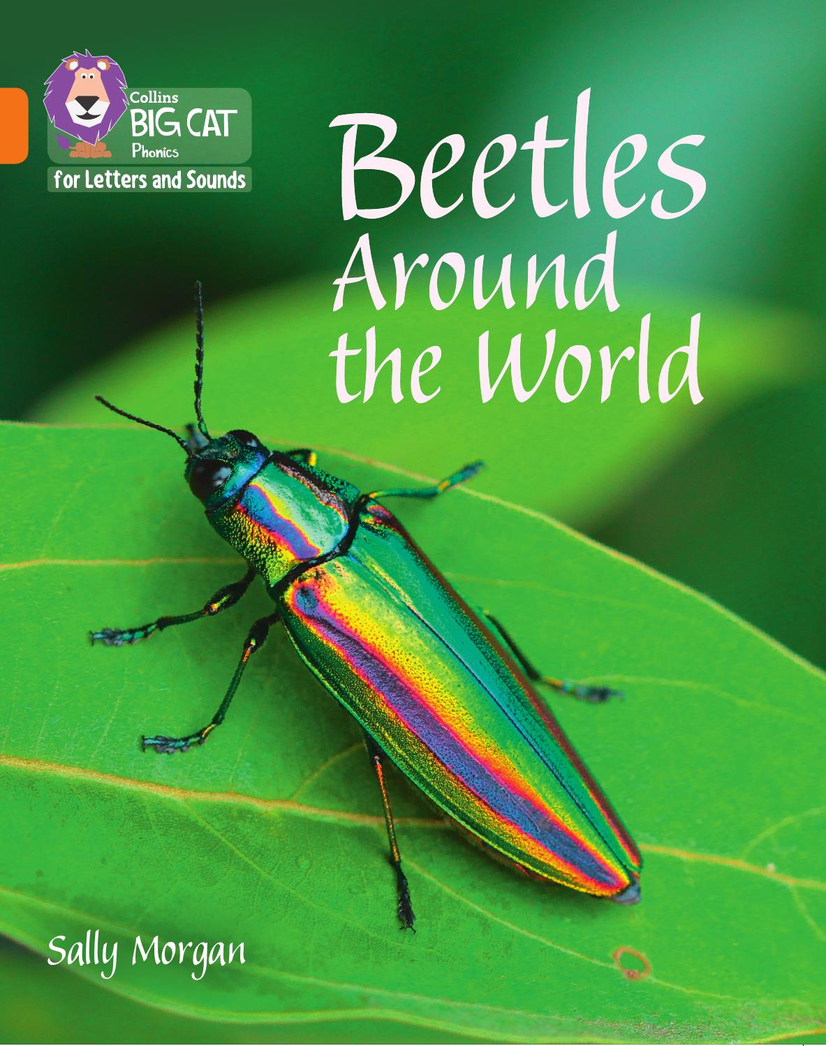 Beetles Around the World by Collins - Issuu