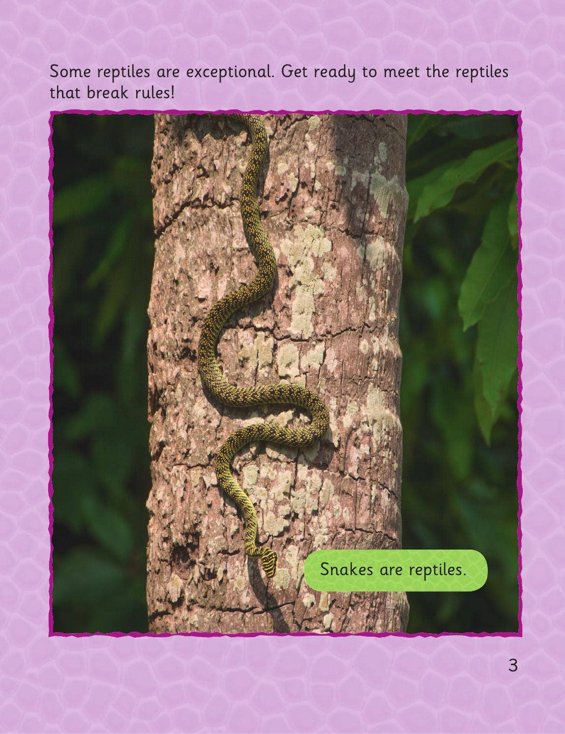 Reptiles Break Rules by Collins - Issuu