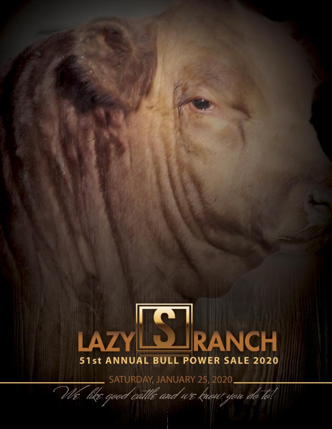 Lazy S Ranch 51st Annual Bull Sale 2020 by Kim Matthews - Issuu