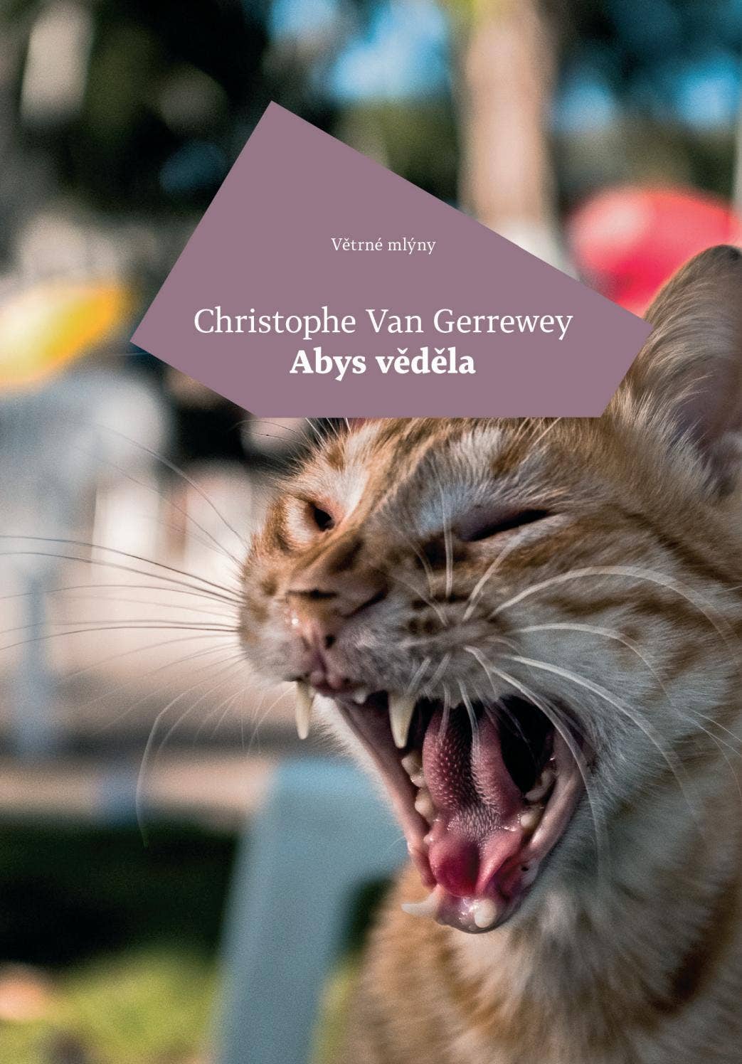 Christophe van Gerrewey: Abys věděla by Vetrne mlyny - Issuu