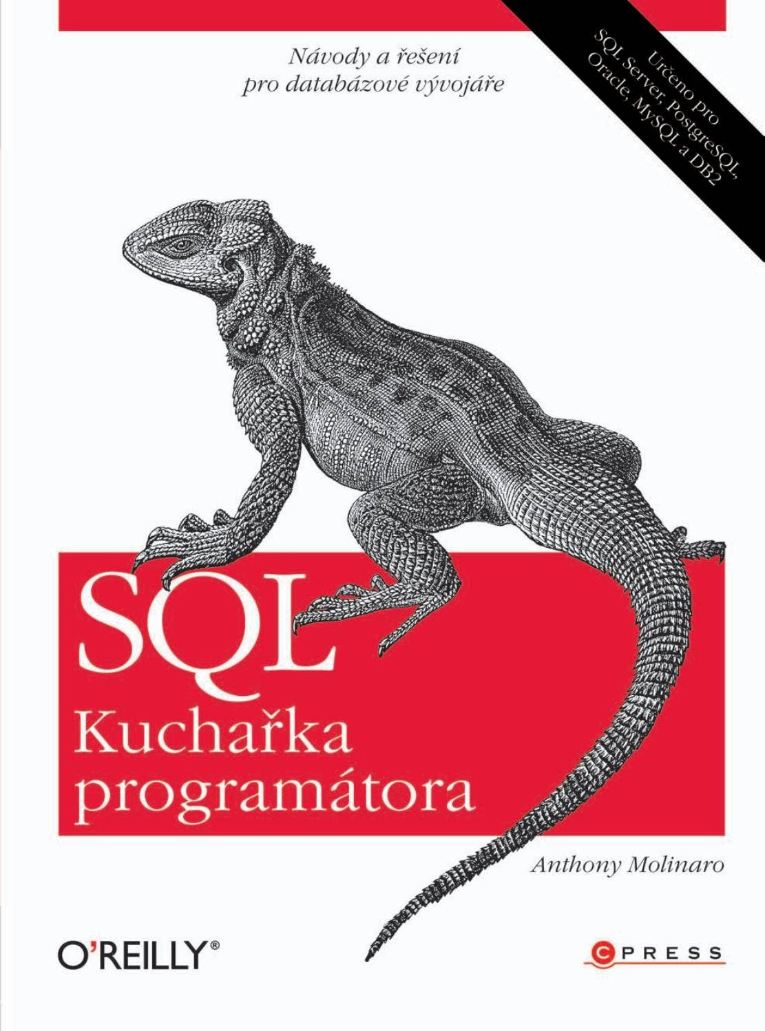 SQL_Anthony Molinaro by Flexibooks - Issuu