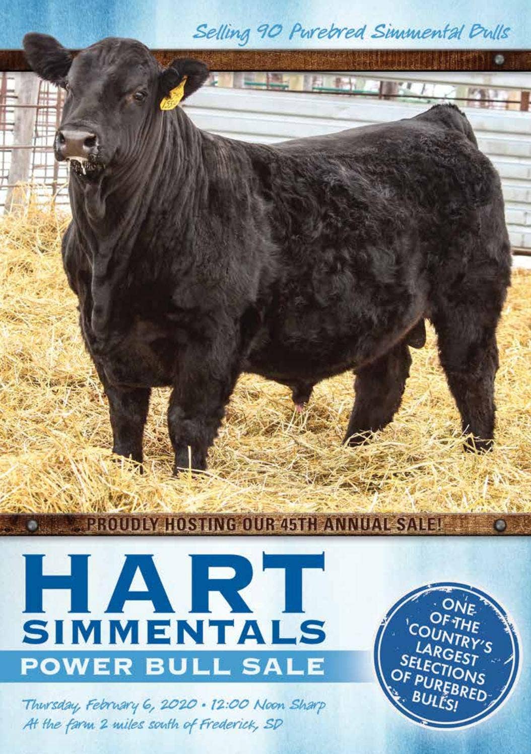 2020 Hart Simmentals Bull Sale Catalog by Eberspacher Enterprises - Issuu