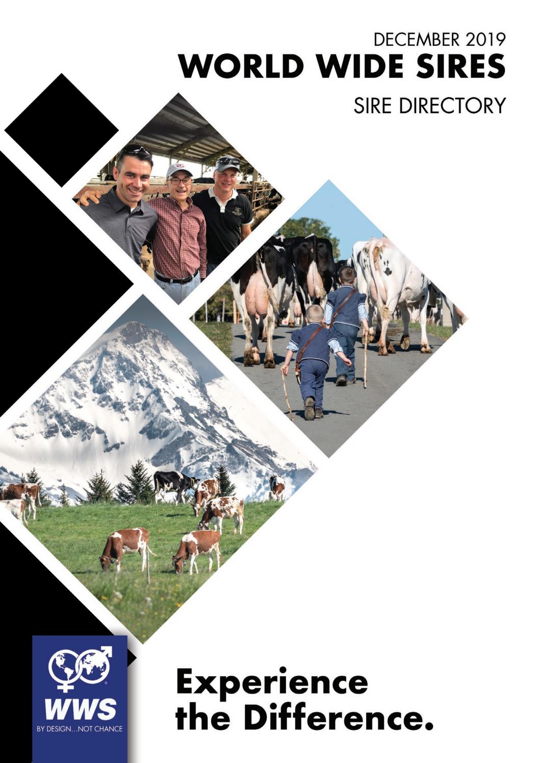 12_19 Switzerland Catalog by World Wide Sires, LTD - Issuu