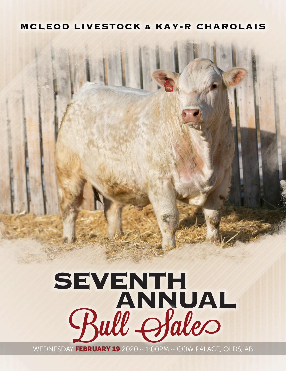 McLeod Livestock & Kay-R Charolais 2020 Bull Sale Catalog by McLeod Ag Marketing & Design - Issuu