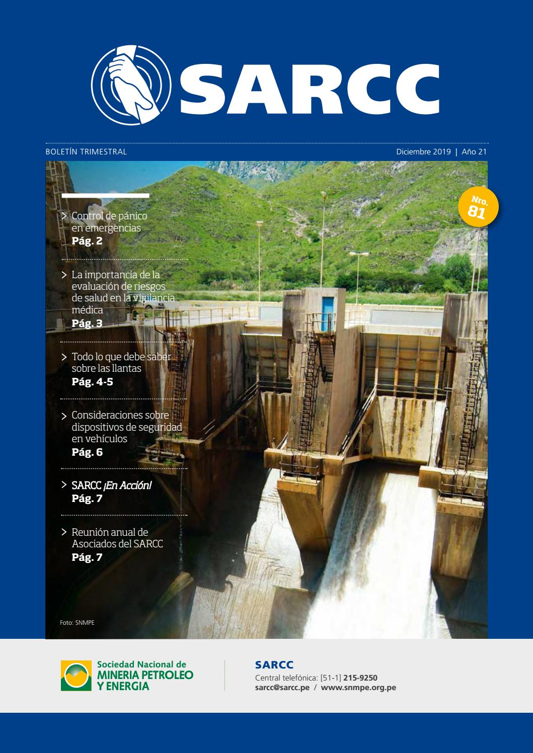 SARCC - Informativo Año 21, Número 81 (diciembre 2019) by Sociedad ...