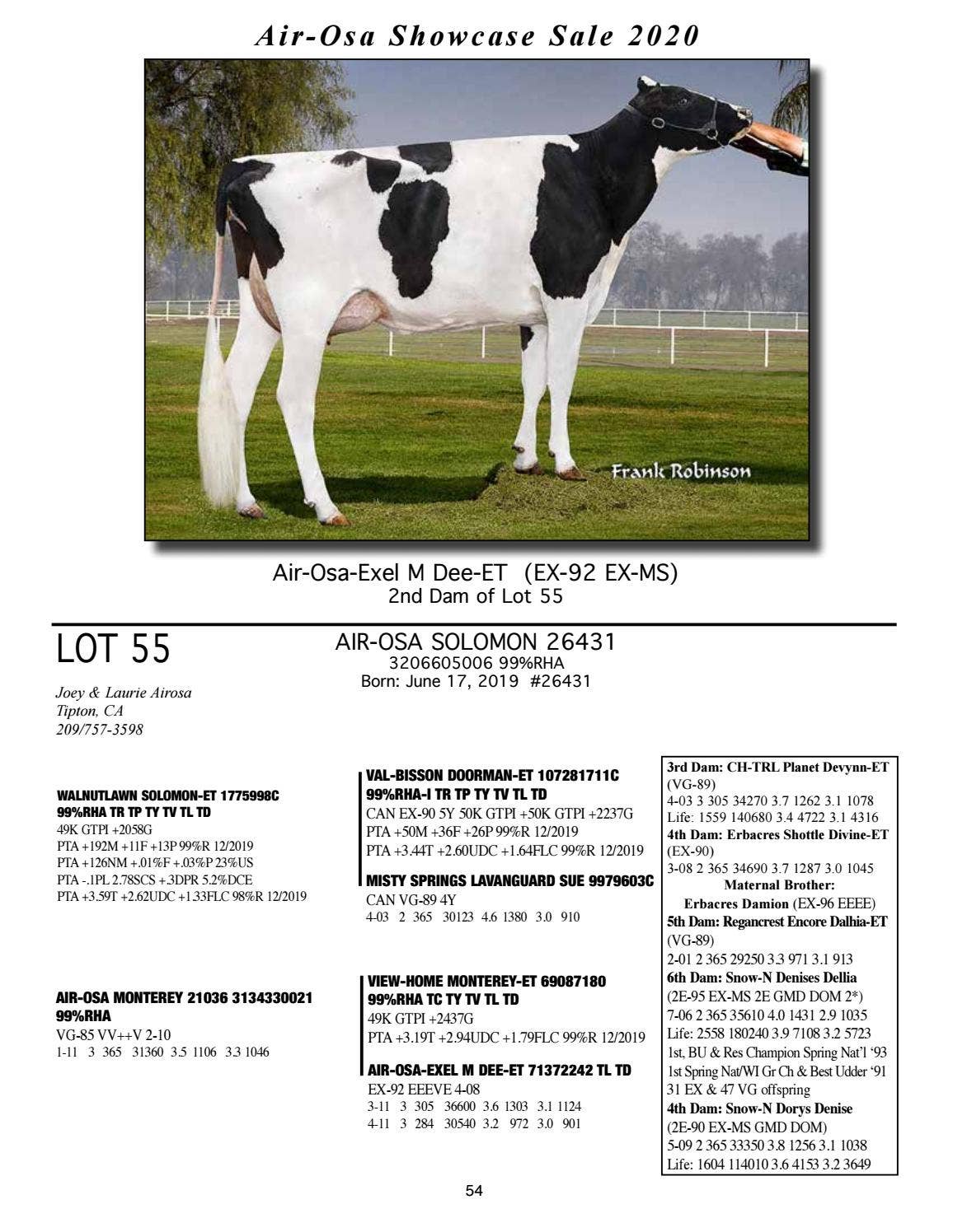 Air-Osa Showcase Sale 2020 by Taylor Made Designs - Issuu