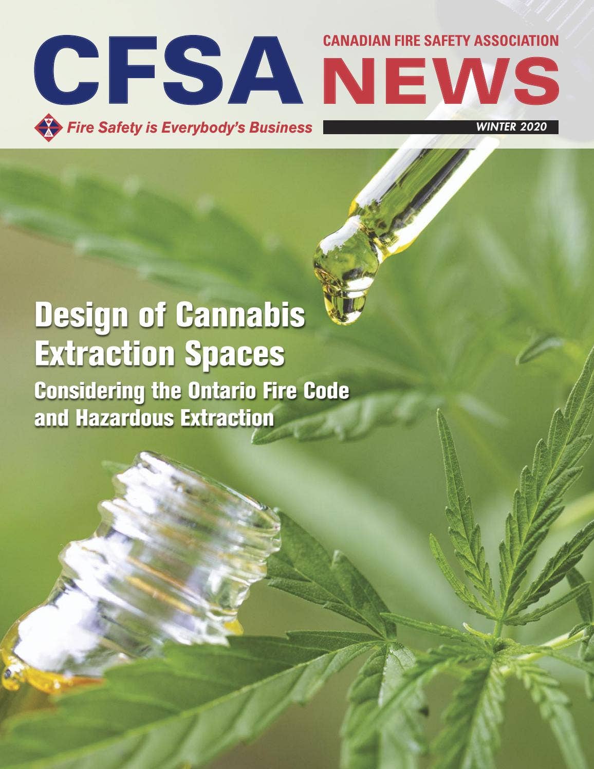 CFSA Newsletter - Winter 2020 by LS Graphics - Issuu