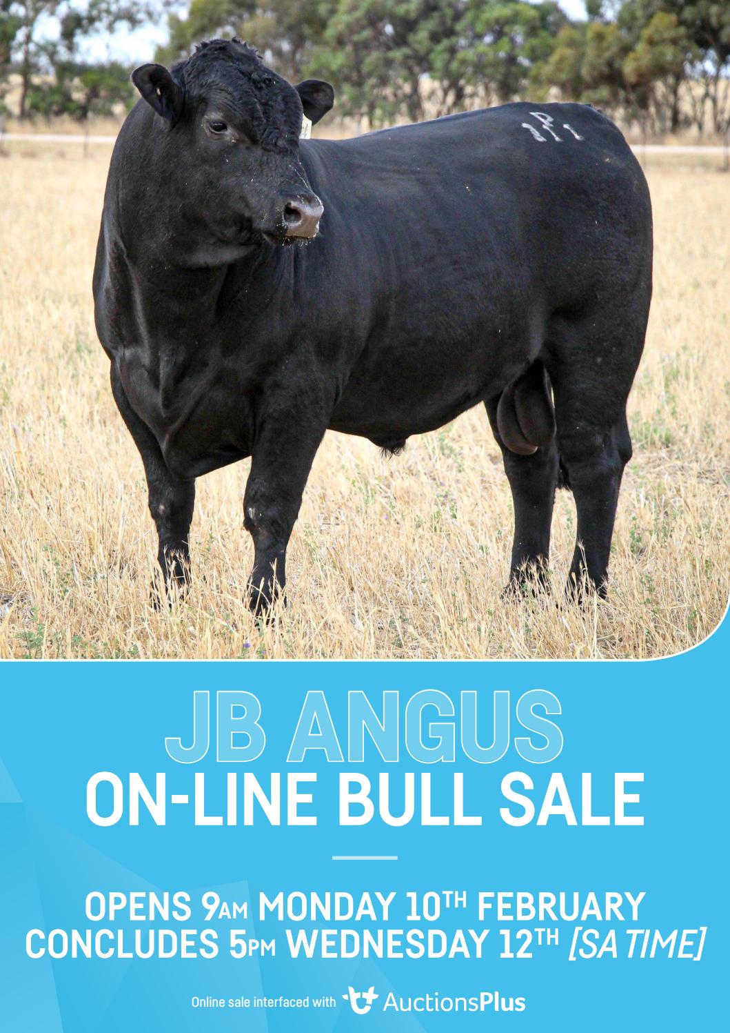 2020 JB Angus Bull Sale by 8ptr.design - Issuu