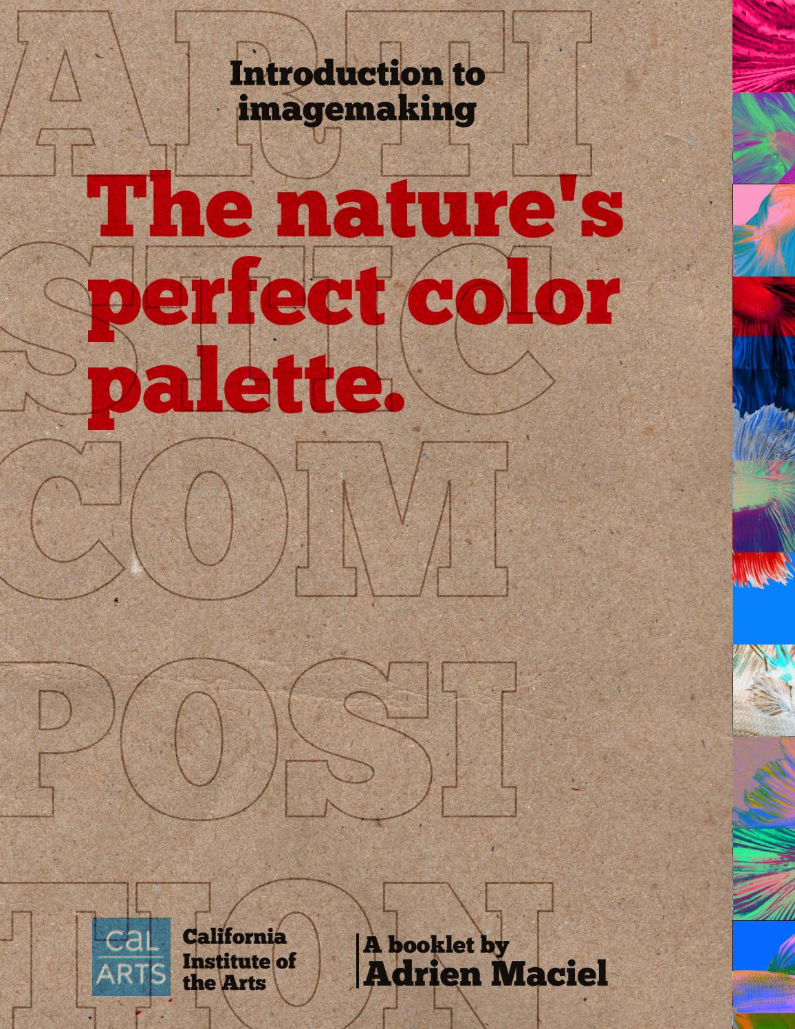 The Nature's Perfect Color Palette by Adrien Maciel - Issuu