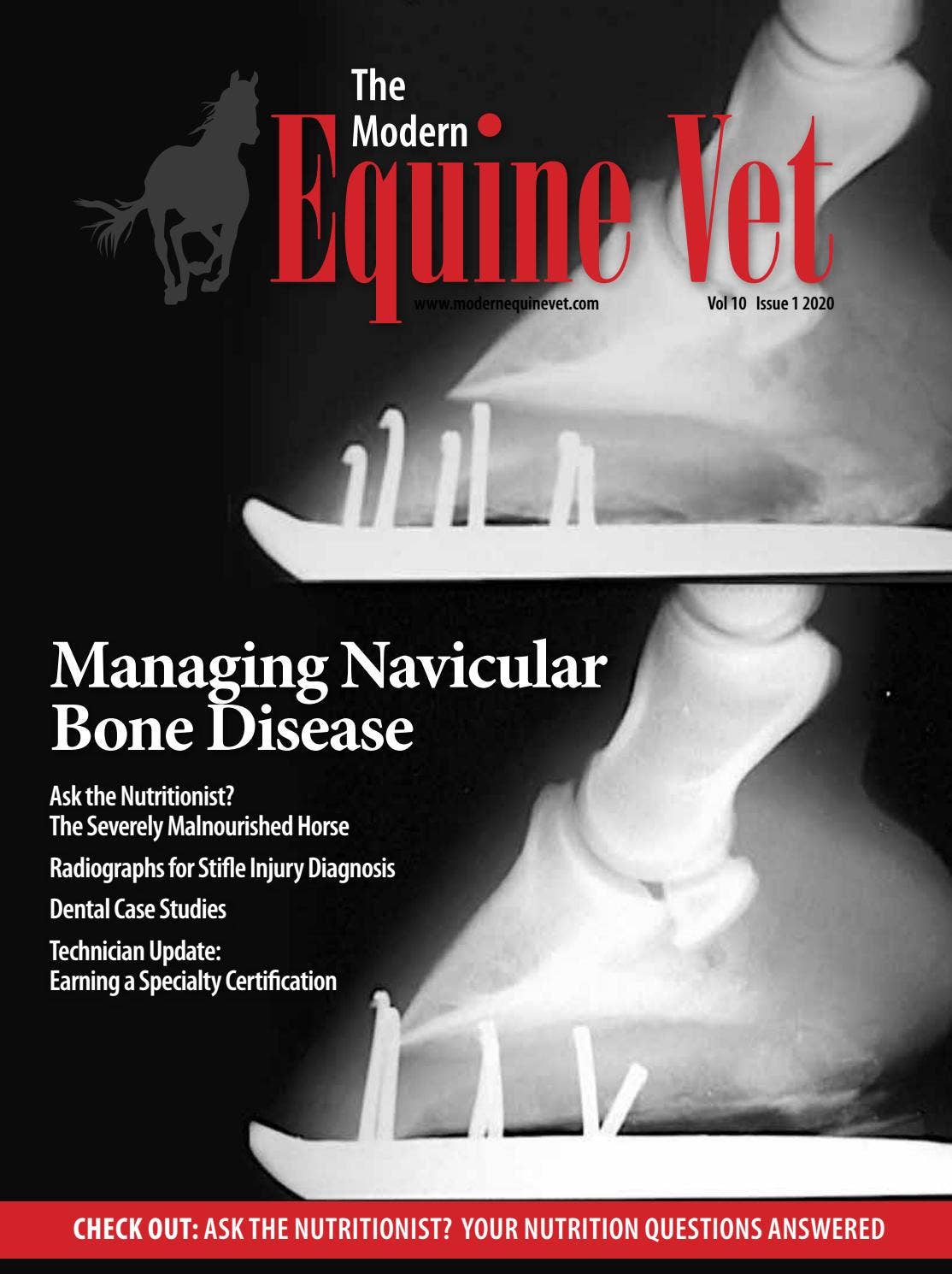 The Modern Equine Vet - January 2020 by The Modern Equine Vet - Issuu