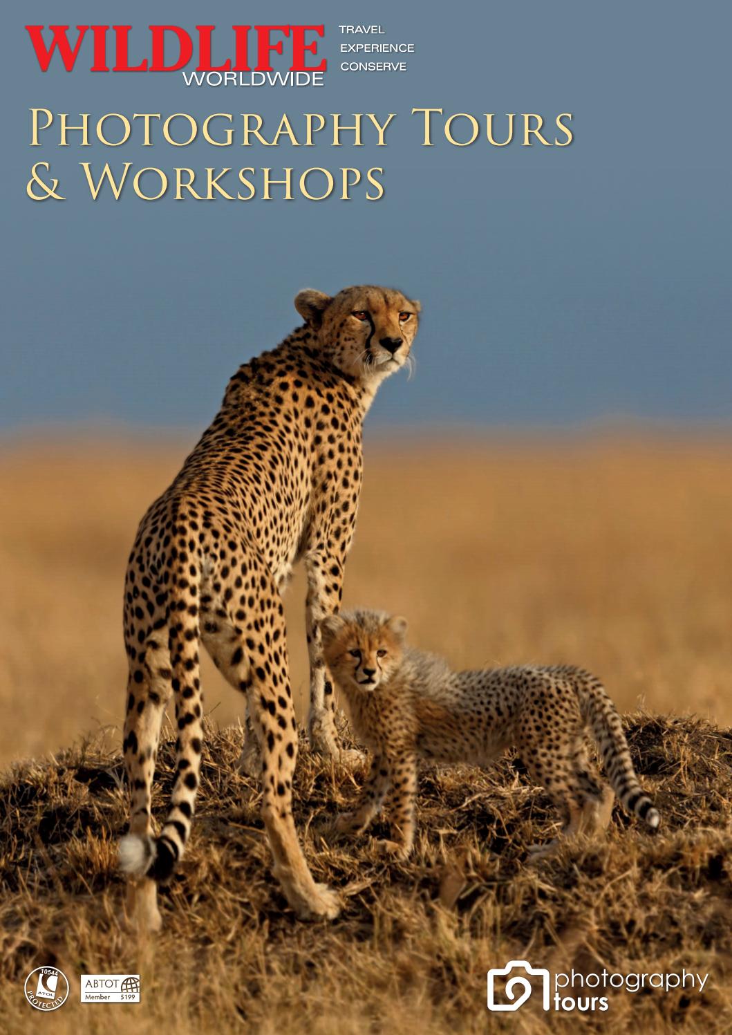 Wildlife Worldwide Photography Tours & Workshops Brochure 2020 by The ...